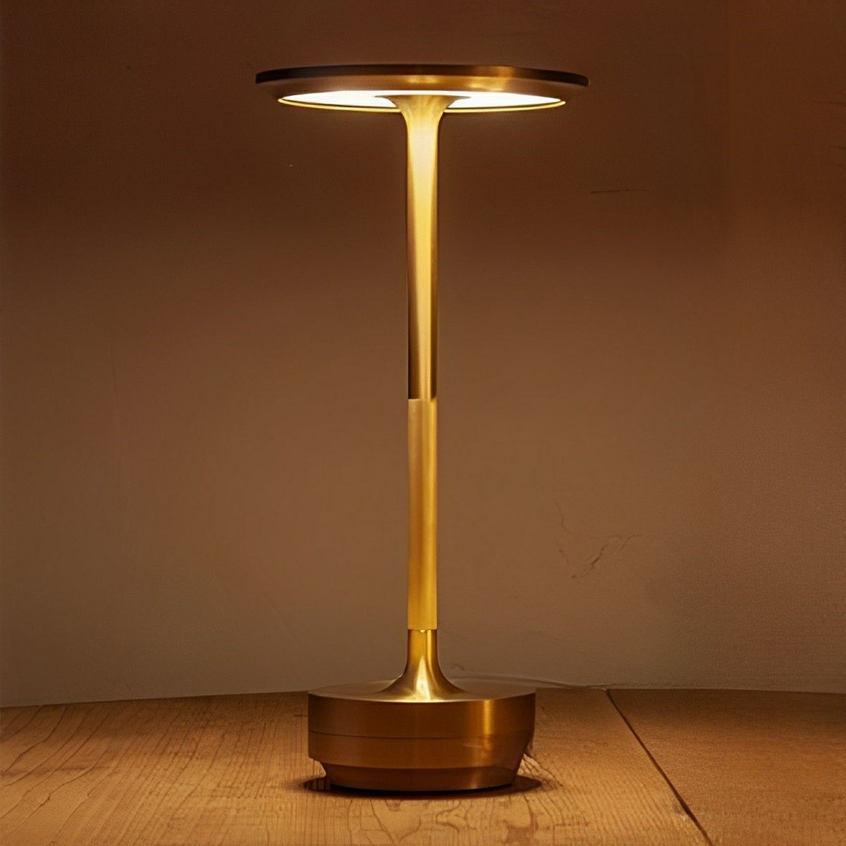 USB Minimalist Dimmable Dish LED Table Lamp Indoor Rechargeable Night ...